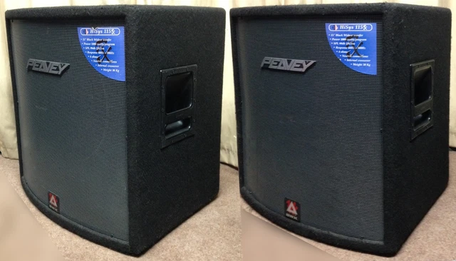 PRO AUDIO SPEAKER 1000 watts Peavey HiSys 115RX passive speakers bass ...