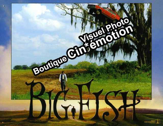 PHOTO EXPLOITATION CINÉMA 21x27.5cm (2003) BIG FISH Tim Burton, Steve ...