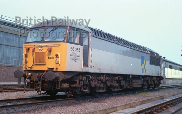 35MM NEGATIVE BR British Railway Diesel Loco Class 56 56065 at March 1993 £3.99 - PicClick UK