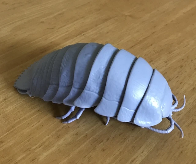 DEEP SEA CREATURE Giant Isopod Ball Realistic Figure Gray 5.5” Gacha ...