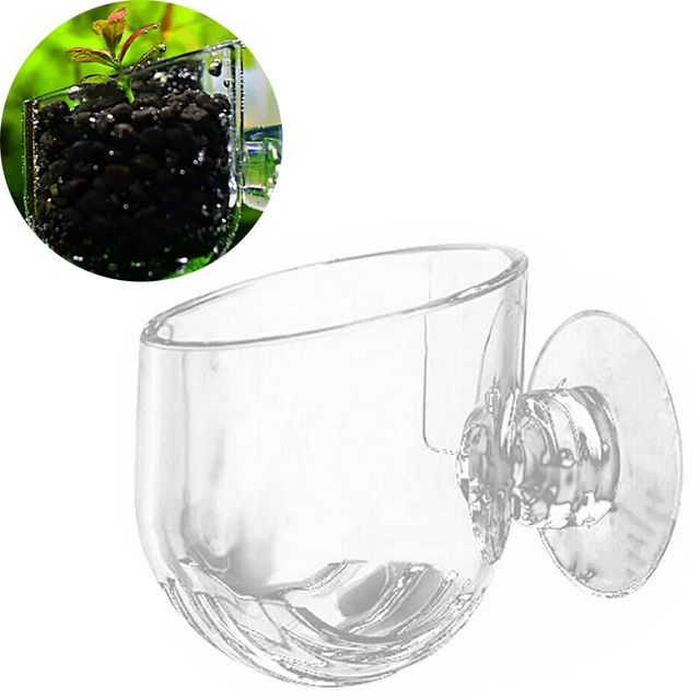 AQUATIC PLANTING POT Water Plant Cup Suction Crystal Glass Flower Pot ...