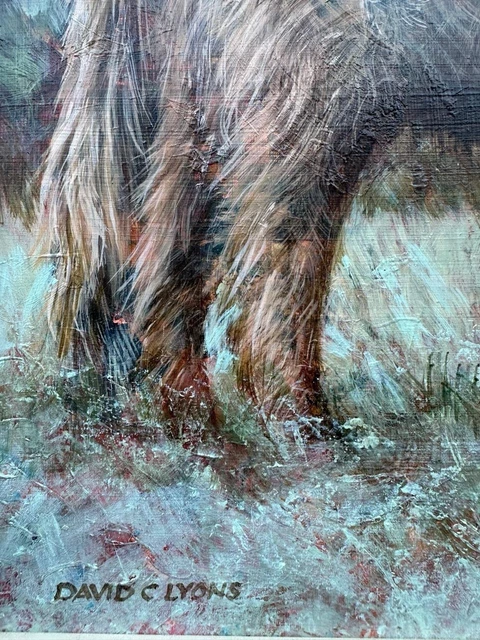 DAVID C LYONS : As The Must Clears , Two Highland Cattle , Oil On Board ...