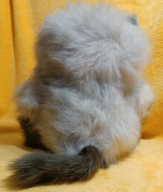 VINTAGE DAKIN FUN Farm Plush 12" Cat "Fishsticks" Goldfish Bowtie ...