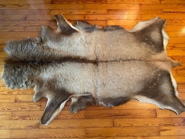 GROSSES FELL ROTWILD Rothirsch Hirsch Kuh-Fell Wild Decke Naturfell ...