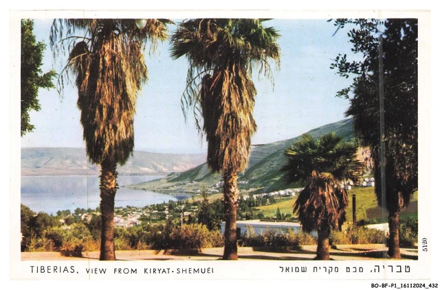 BO-BFP1-0217-ISRAELE - TIBERIA - Vista Da Kiryat-Shemuei EUR 7,27 ...