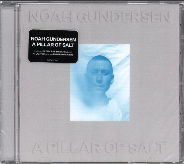 NOAH GUNDERSEN A Pillar of Salt CD Europe Cooking Vinyl 2021 COOKCD807 ...