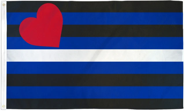 LEATHER PRIDE FLAG 3x5ft Rainbow Pride Flag LGBT Subculture Kink £8.46 ...