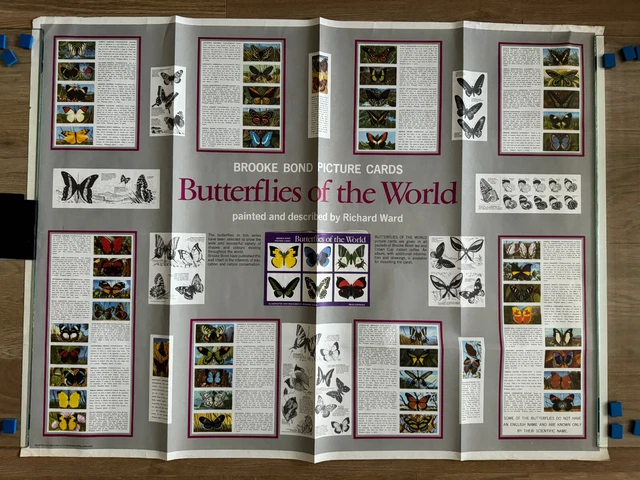 1964 BROOKE BOND Tea Educational Chart wallchart - Butterflies Of The ...