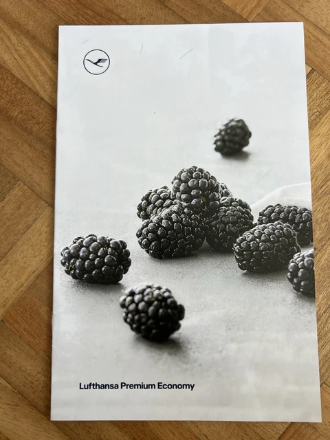 LUFTHANSA PREMIUM ECONOMY Menu Card Summer 2025 EUR 2,00 - PicClick DE