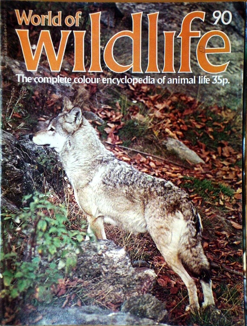 WORLD OF WILDLIFE No 90 WOLF WOLVES Orbis 1977 £4.00 - PicClick UK