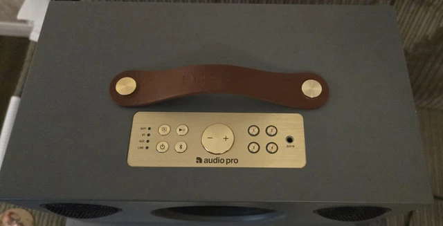 AUDIO PRO ADD On C10 Multiconnected Wireless /Bluetooth ...