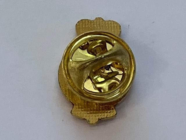 VINTAGE ORIGINAL NORTHERN Ireland Prison Services HMP Maze Enamel Pin ...