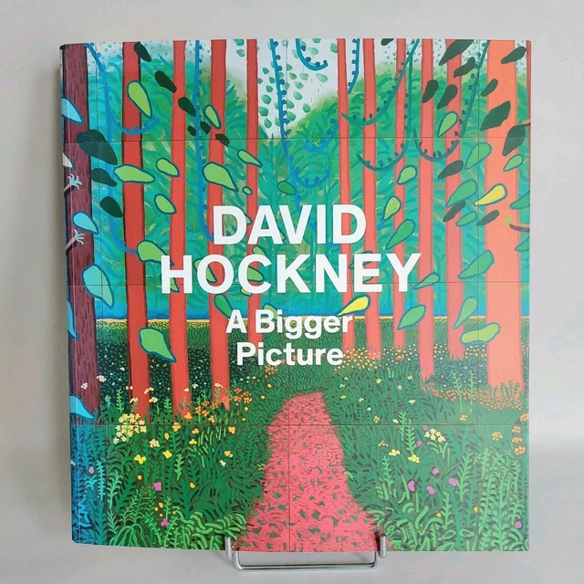 DAVID HOCKNEY: A Bigger Picture by David Hockney Paperback, 2012 Tim ...