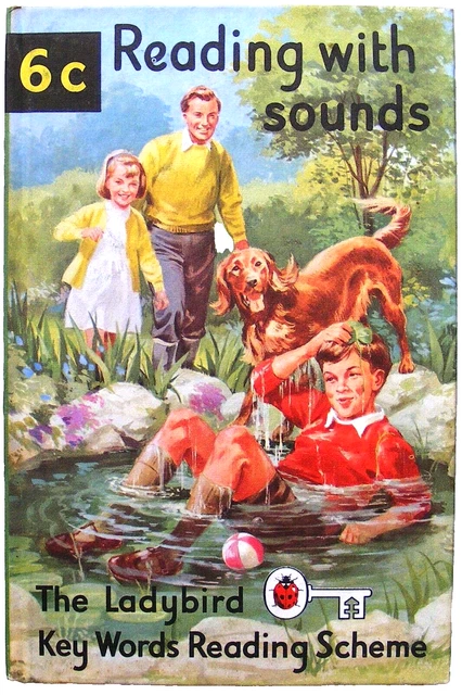 READING WITH SOUNDS, vintage Ladybird Key Words Reading Scheme 6c Matt ...