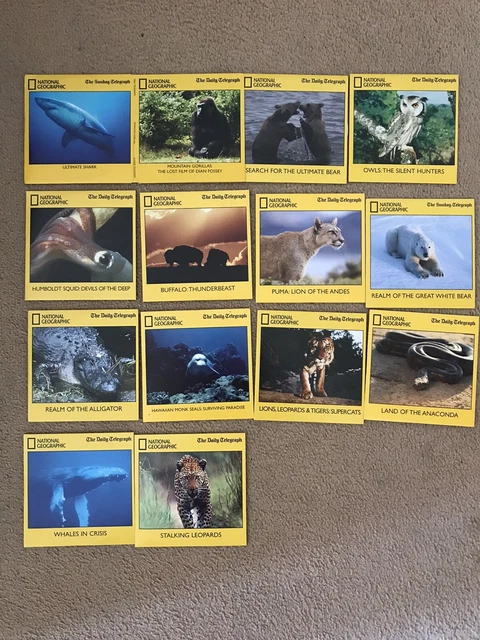 NATIONAL GEOGRAPHIC COLLECTION of 14 Wildlife DVDs Documentaries EUR 14 ...