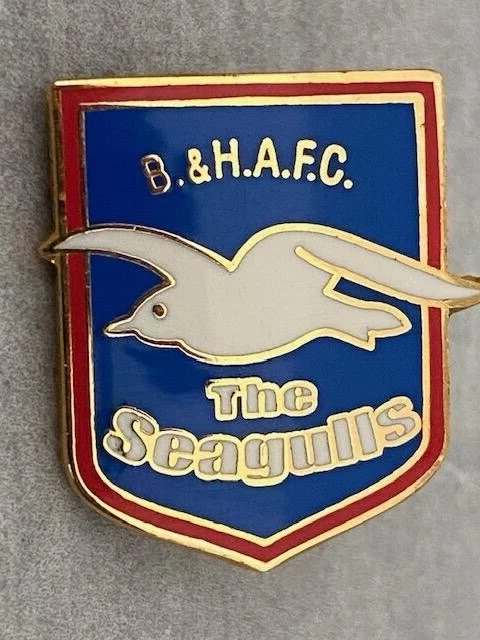 VINTAGE BRIGHTON & Hove Albion FC Enamel Football Club Pin Badge - 0.5 ...