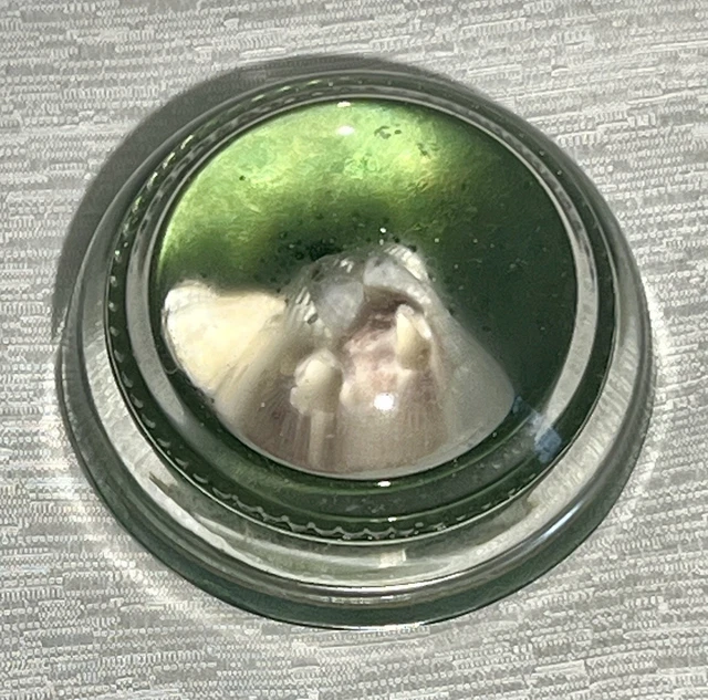 VINTAGE BEACH OCEAN Magnified Paperweight Glass Mini Sea Shells Dome £ ...