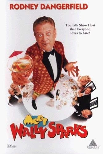 MEET WALLY SPARKS (DVD) Rodney Dangerfield Debi Mazar Burt Reynolds (US ...