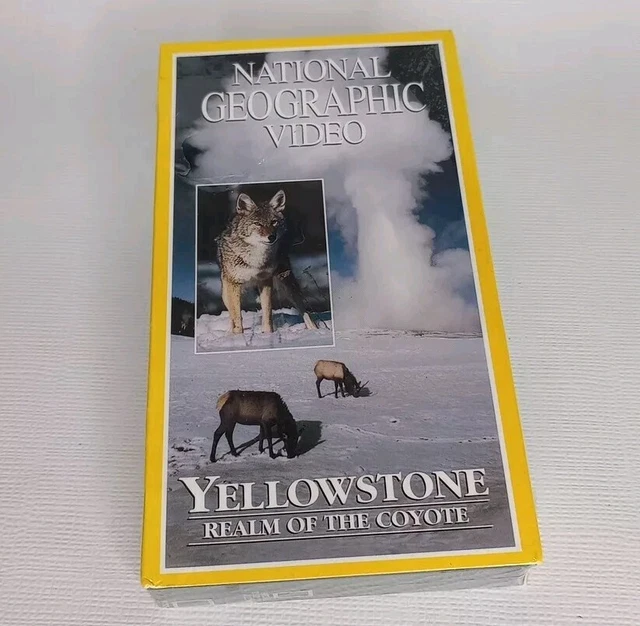 NATIONAL GEOGRAPHIC YELLOWSTONE Realm Of The Coyote VHS 1995 New £10.33 ...