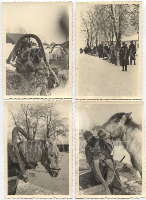 S607 FOTO WEHRMACHT Russland Ukraine Soldat Beute Pferd farm Panje Pony ...