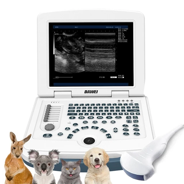 PORTABLE VETERINARY ULTRASOUND Scanner Laptop for Animals, 3.5MHz Convex Probe $1,995.00 ...