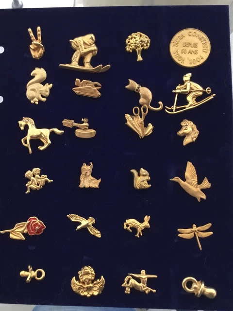 PIN’S RARES PLANCHE De Pin’s DORÉS divers EUR 3,75 - PicClick FR