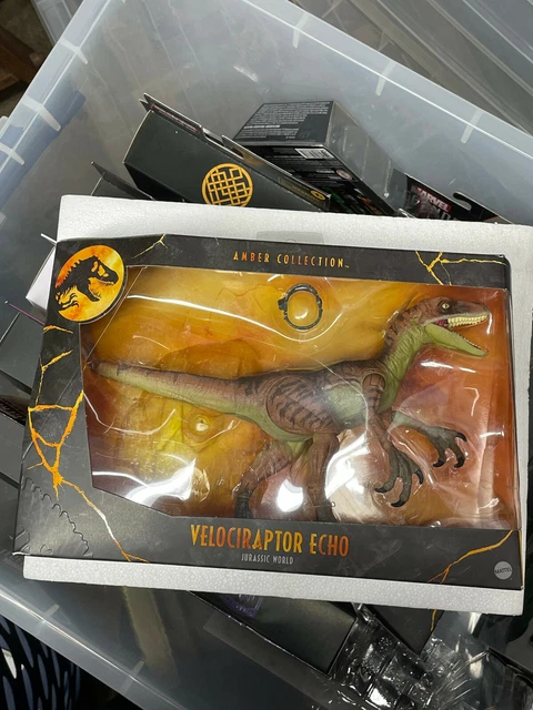 JURASSIC WORLD AMBER Collection Velociraptor ECHO Raptor Jurassic Park ...