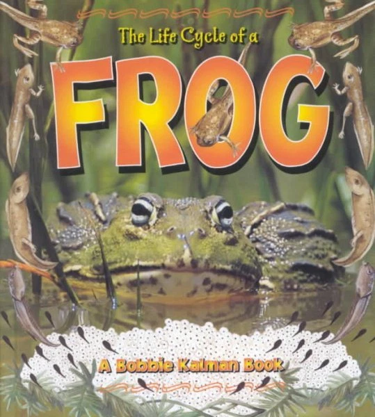 LIFE CYCLE OF a Frog, Library by Kalman, Bobbie; Smithyman, Kathryn, Like New... £18.14 ...