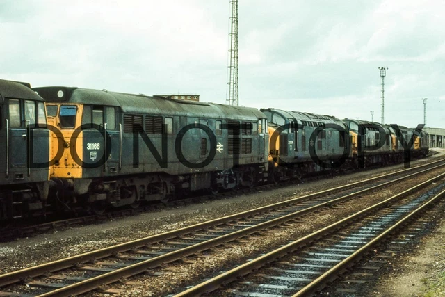 UK DIESEL TRAIN Railway Photograph Of Class 31 31166 Loco. (Rm31-149) £ ...