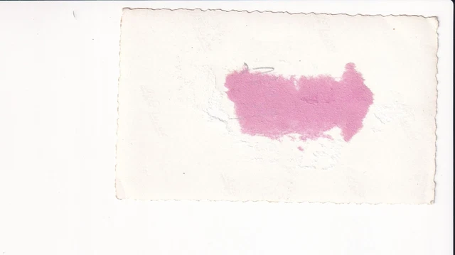 WW2 FOTO DR Elitesoldaten Das Reich Rusland Beute Panzer Tank T34 Toten ...