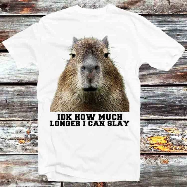 IDK HOW MUCH Longer I Can Slay Capybara Sarcastic Dank Meme T Shirt ...
