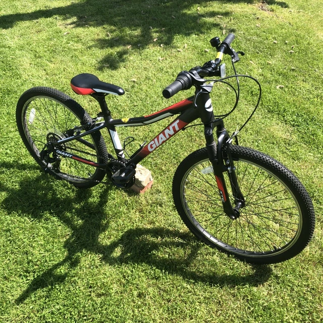 GIANT XTC JR aluxx 24 inch Wheel - Junior Mountain Bike £130.00 ...