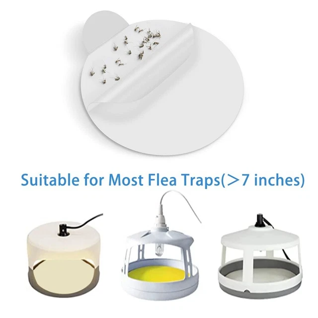 FLEAS TRAP REFILL Discs Replacement Glue Boards 12 Pack, 7.1 Inches ...