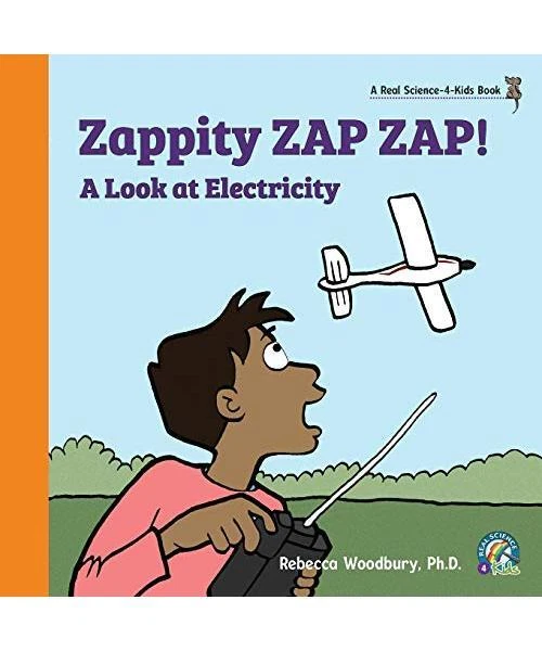 ZAPPITY ZAP ZAP! A Look at Electricity, Rebecca Woodbury Ph. D. EUR 10 ...