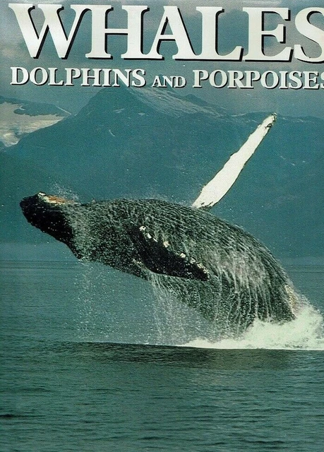 WHALES DOLPHINS AND Porpoises Cetaceans Oceans Seas Environment ...