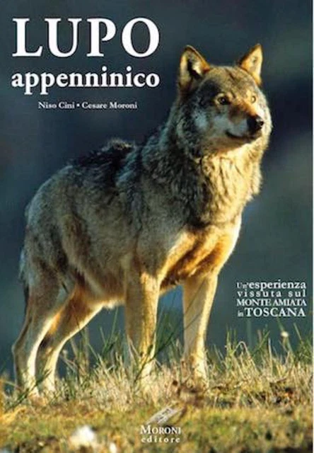 APENNINE WOLF PHOTOGRAPHIC Monte Amiata Tuscany Natura MORONI Edit ...