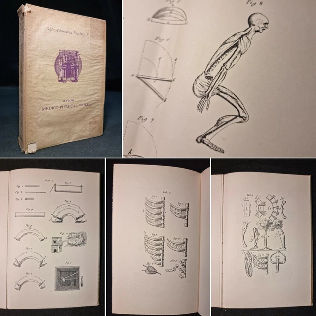 1926 MEDICO PHYSICAL WORKS John Mayow RESPIRATION Breathing MUSCLES ...