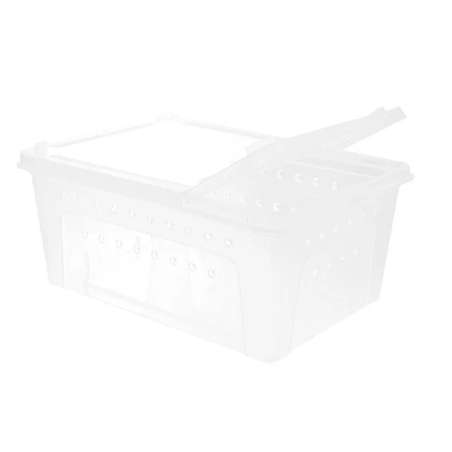 INSECT REARING BOX Plastic Container Terrariums Reptile Breeding £12.45 ...