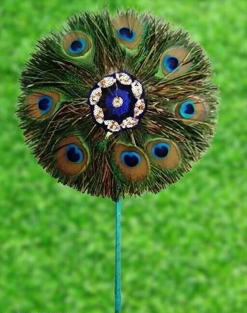 SEIGNEUR KRISHNA DE bon augure naturel Mor Pankh véritable plume de ...