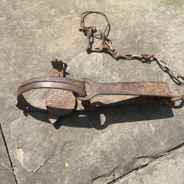 VINTAGE SARGENT NO 1 1/2 Long Spring Trap Trapping Newhouse $45.11 ...