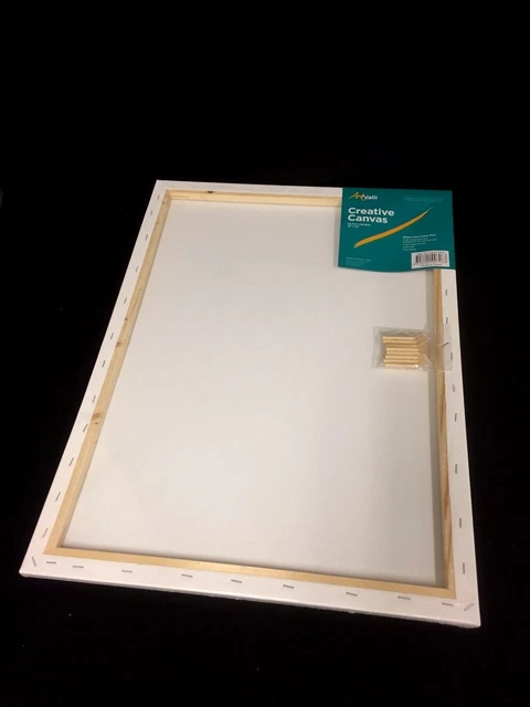 ARTIST BLANK WHITE Canvas Stretched Canvases 18