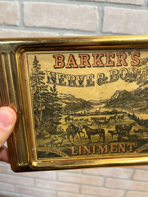 RARE ANTIQUE C1890S Barker's Nerve & Bone Liniment Advertising Pen Rest ...
