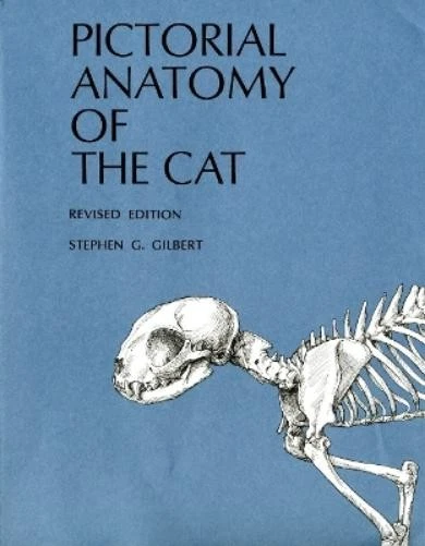 STEPHEN G. GILBERT Pictorial Anatomy of the Cat (Paperback) £20.56 ...