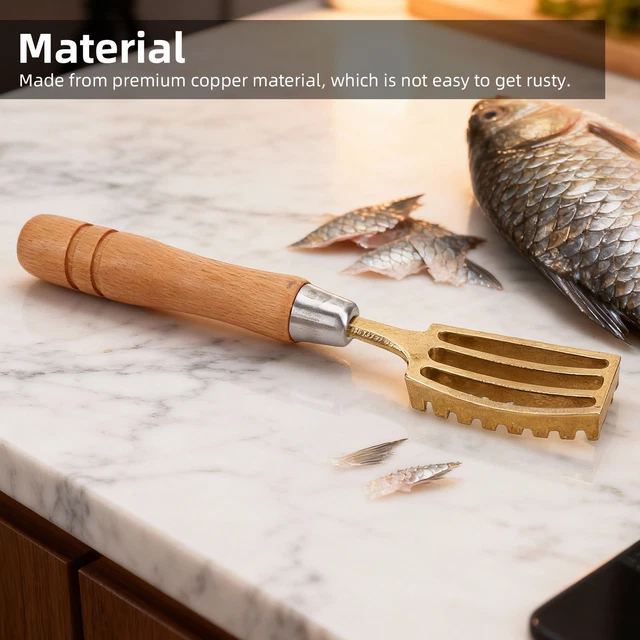 LABOR-SAVING HIGH-EFFICIENCY FISH Scaler - Copper Fish Descaler With ...