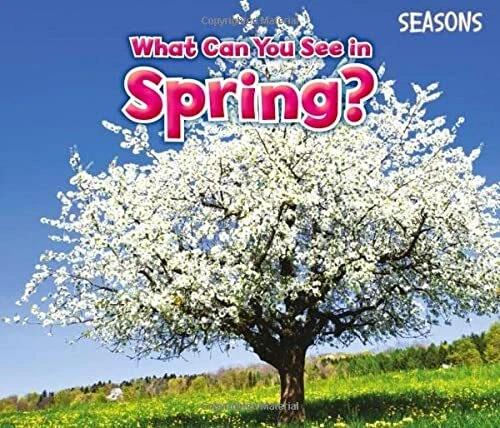 WHAT CAN YOU See In Spring? by Sian Smith 9781406283273 NEW Free UK ...