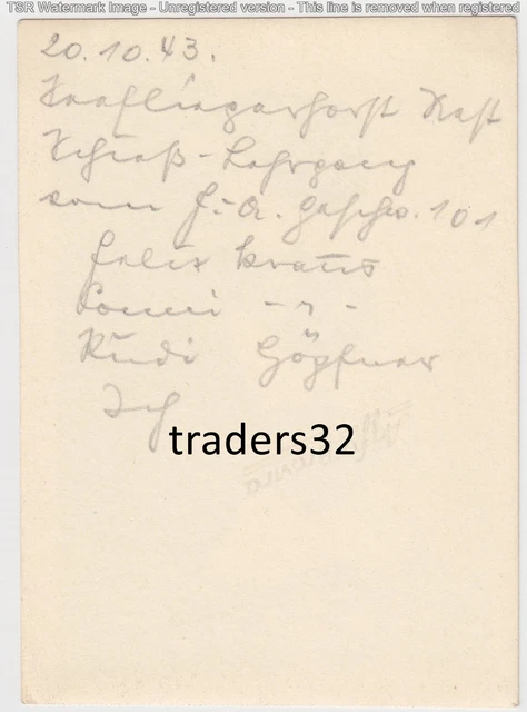 FOTO LUFTWAFFE SOLDAT Pilot Orden Flugzeugführerabzeichen Flieger ...