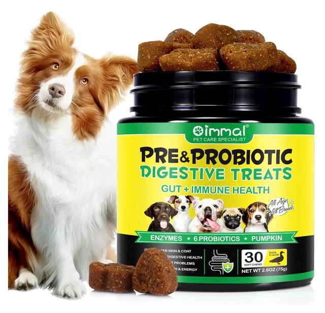 PRE & PROBIOTICS for Dogs with Digestive Enzymes - Gut Health - 30 Soft ...
