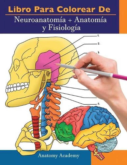 LIBRO PARA COLOREAR de Neuroanatoma + Anatoma y Fisiologa: 2-en-1 compilaci?n Li $27.89 ...