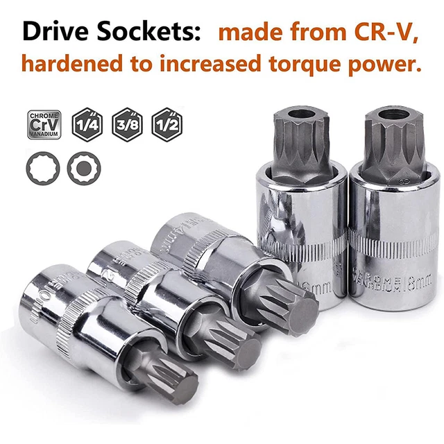 10PC BIT SOCKET Set 12 Point Triple Square Spline Tamper Proof Bits W ...