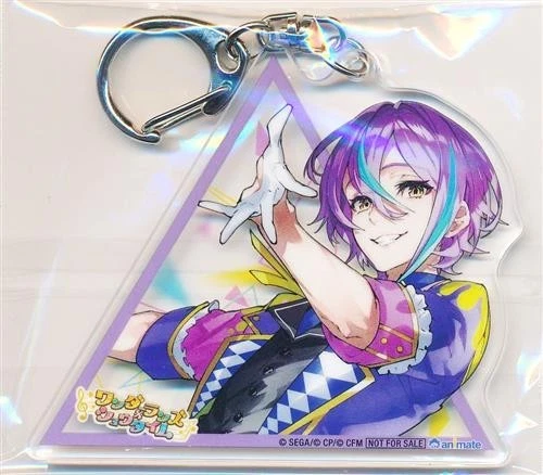 PROJECT SEKAI COLORFUL Stage Acrylic Keychain Kamishiro Rui Animate CD ...